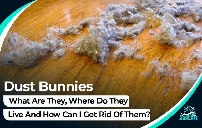 Dust Bunnies: What Are They, Where Do They Live, and How Can I Get Rid ...